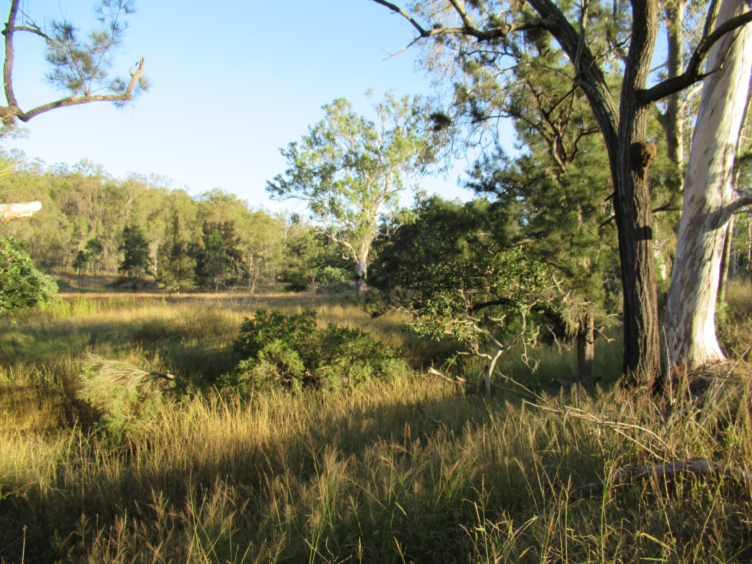 Restoration Works - The Turner Family Foundation